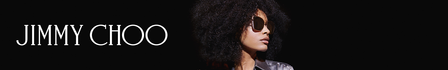 Jimmy Choo Sunglasses - Women's Sunglasses - Free Delivery