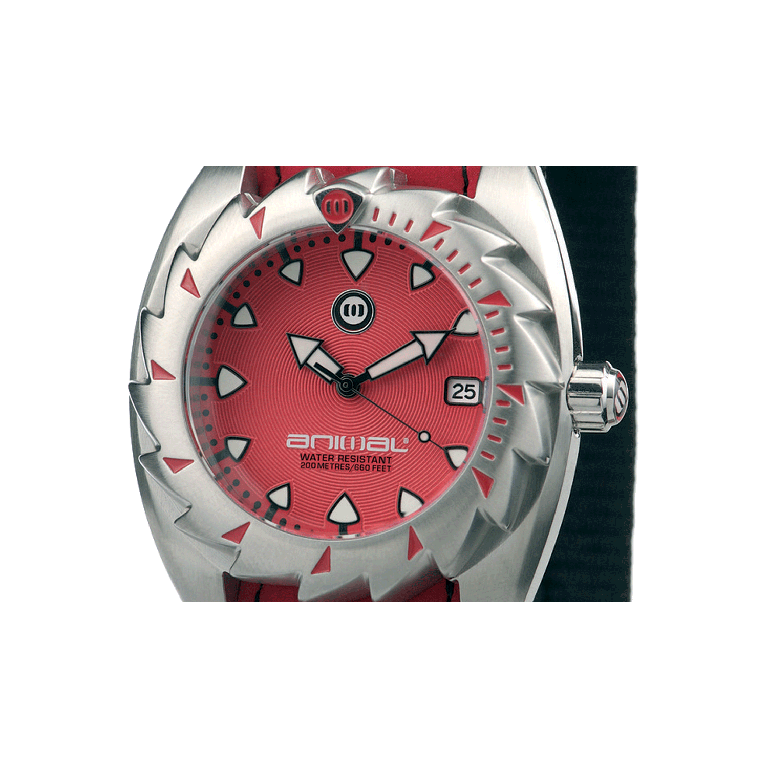 Animal Zepher WW2WA008-004 Watch | Shade Station