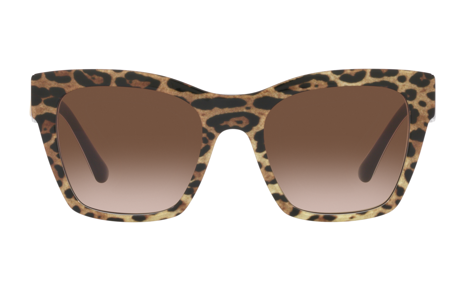Dolce&Gabbana DG4384 316313 53 Sunglasses | Shade Station