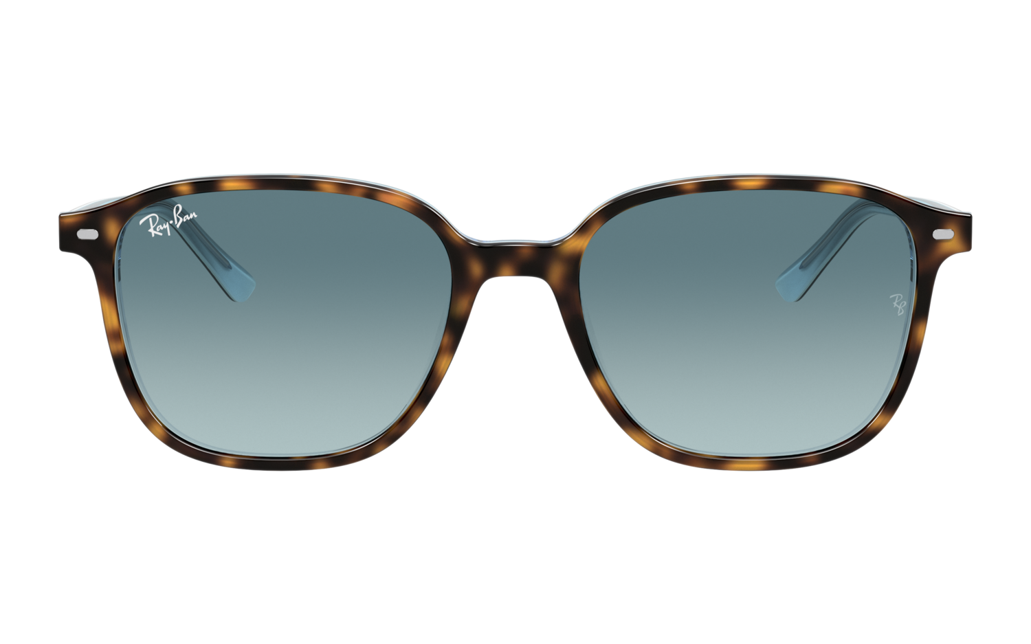 Ray-Ban Leonard RB2193 13163M 51 Sunglasses | Shade Station