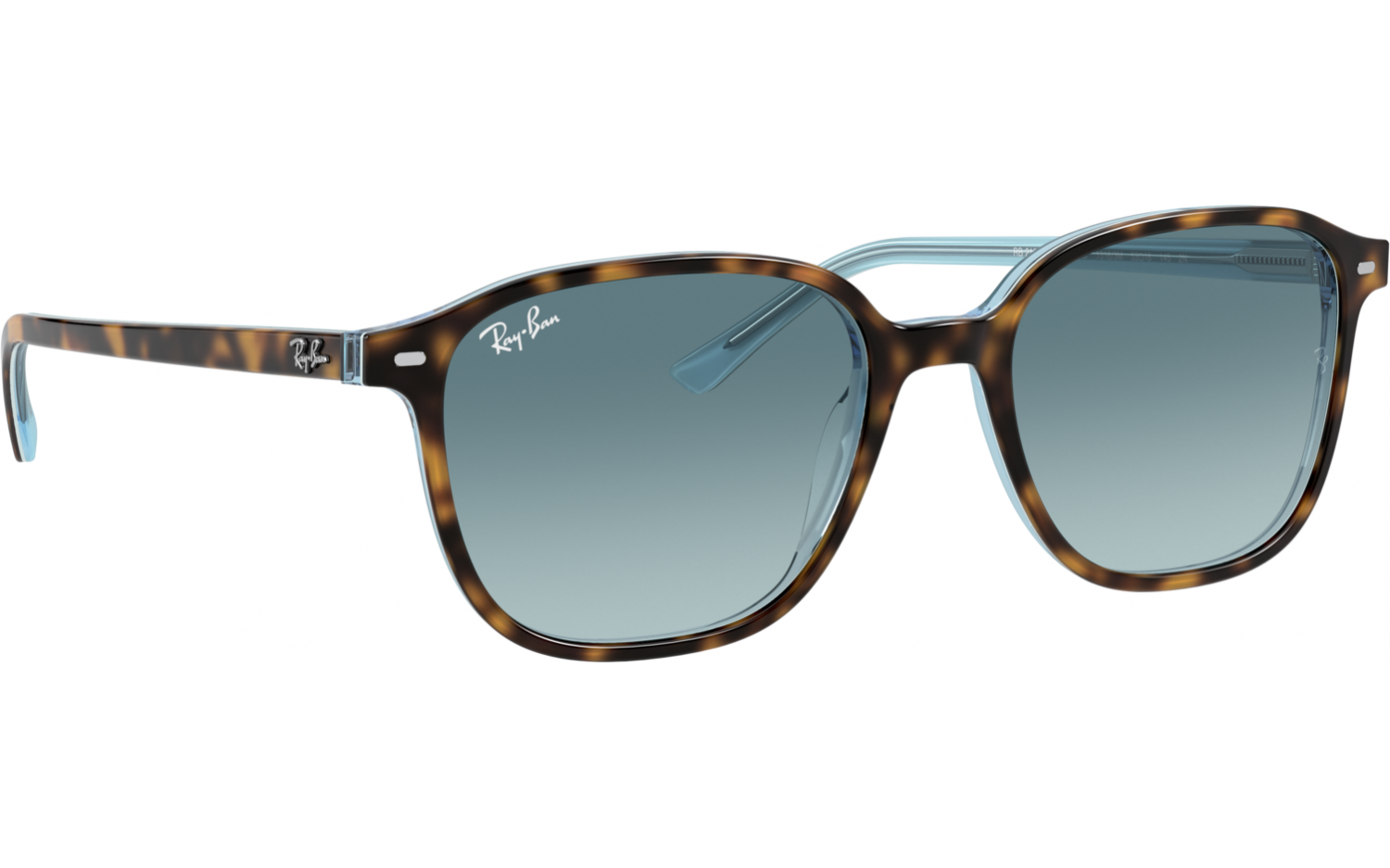 Ray-Ban Leonard RB2193 13163M 51 Sunglasses | Shade Station