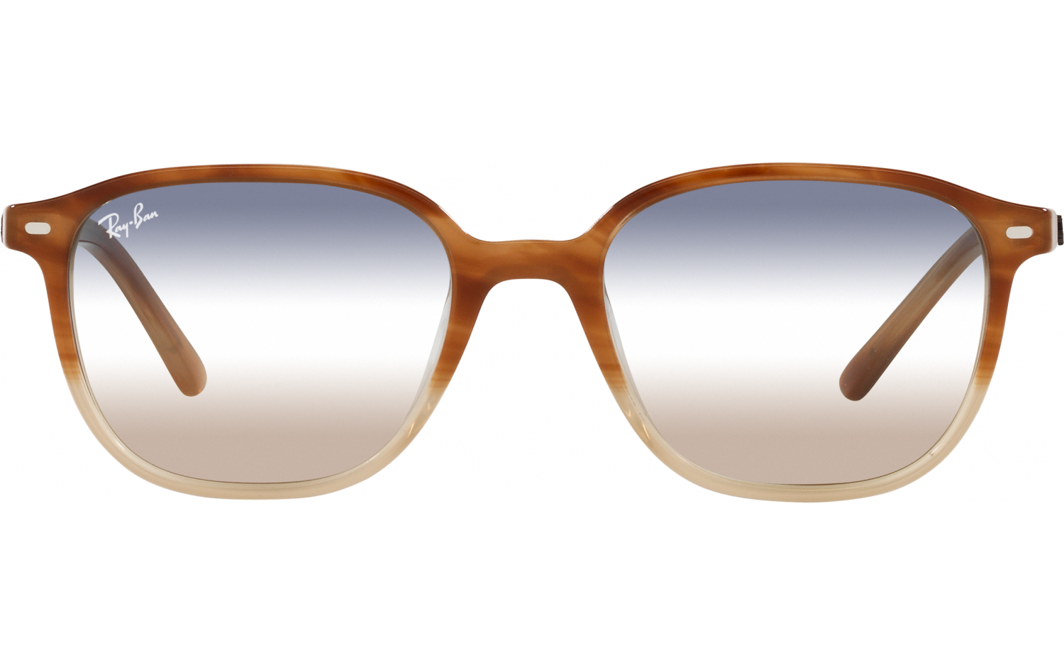 Ray-Ban Leonard RB2193 1328GD 51 Sunglasses | Shade Station