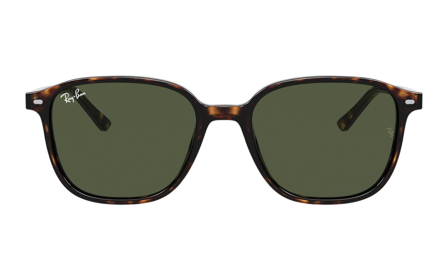 Ray-Ban Leonard RB2193 902/31 51 Sunglasses | Shade Station