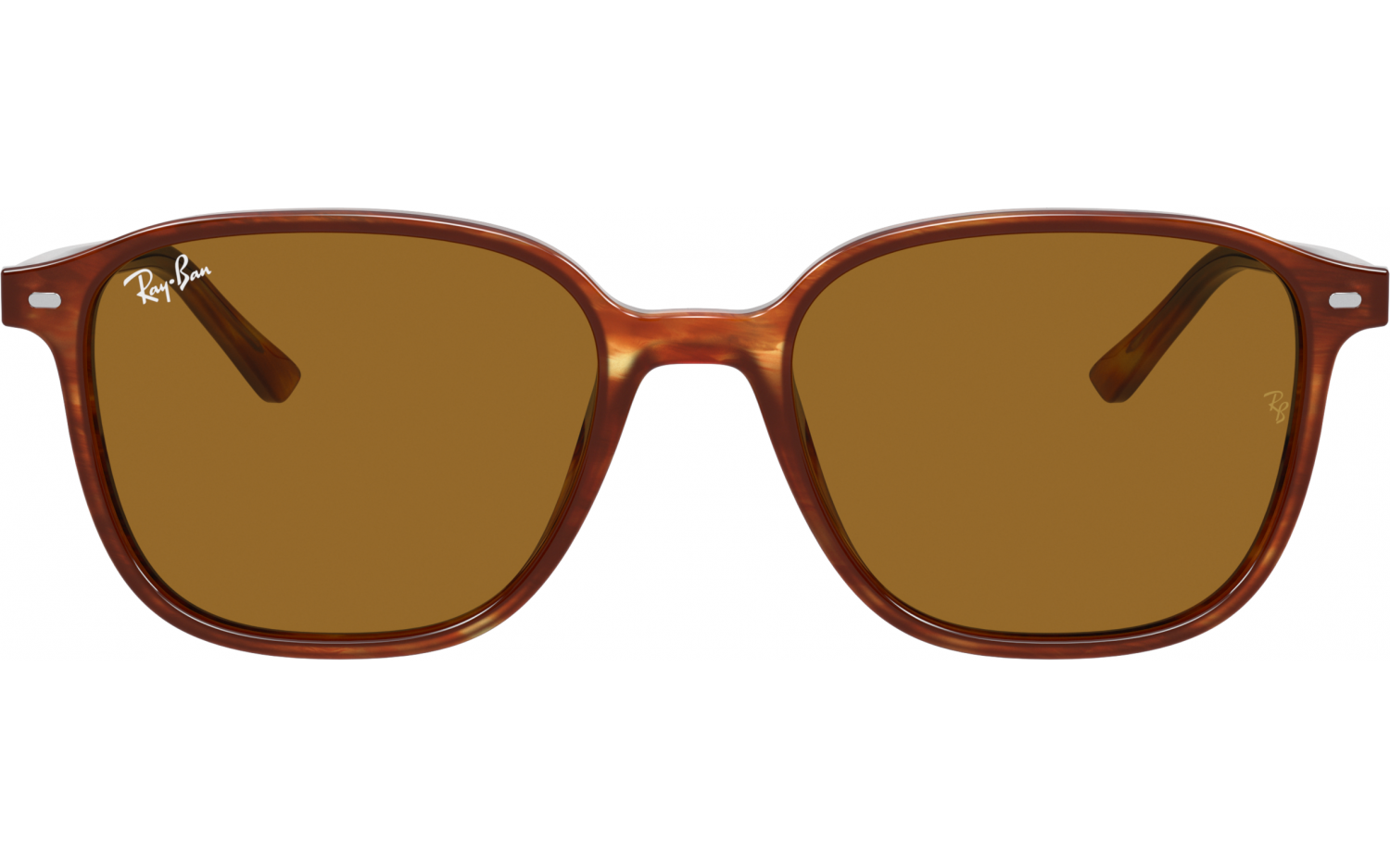 Ray-Ban Leonard RB2193 954/33 51 Sunglasses | Shade Station