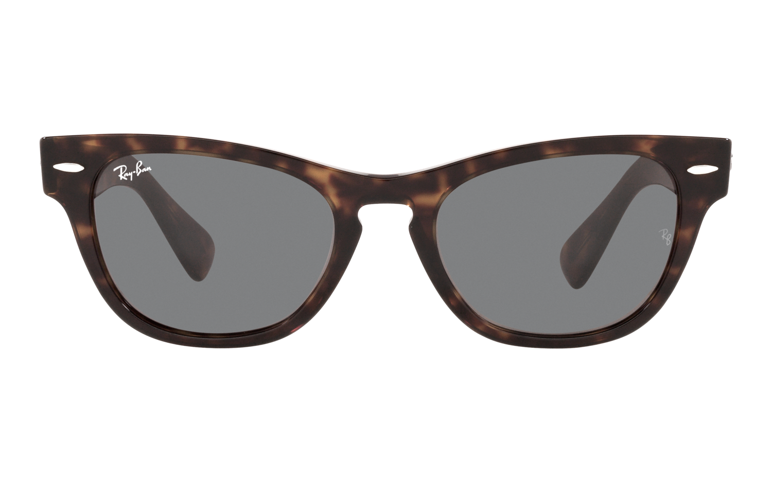 Ray-Ban Laramie RB2201 902/B1 54 Sunglasses | Shade Station