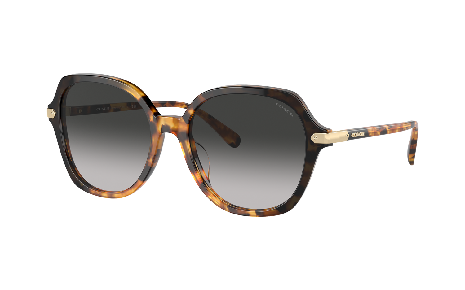 Coach HC8377U 577613 55 Sunglasses | Shade Station