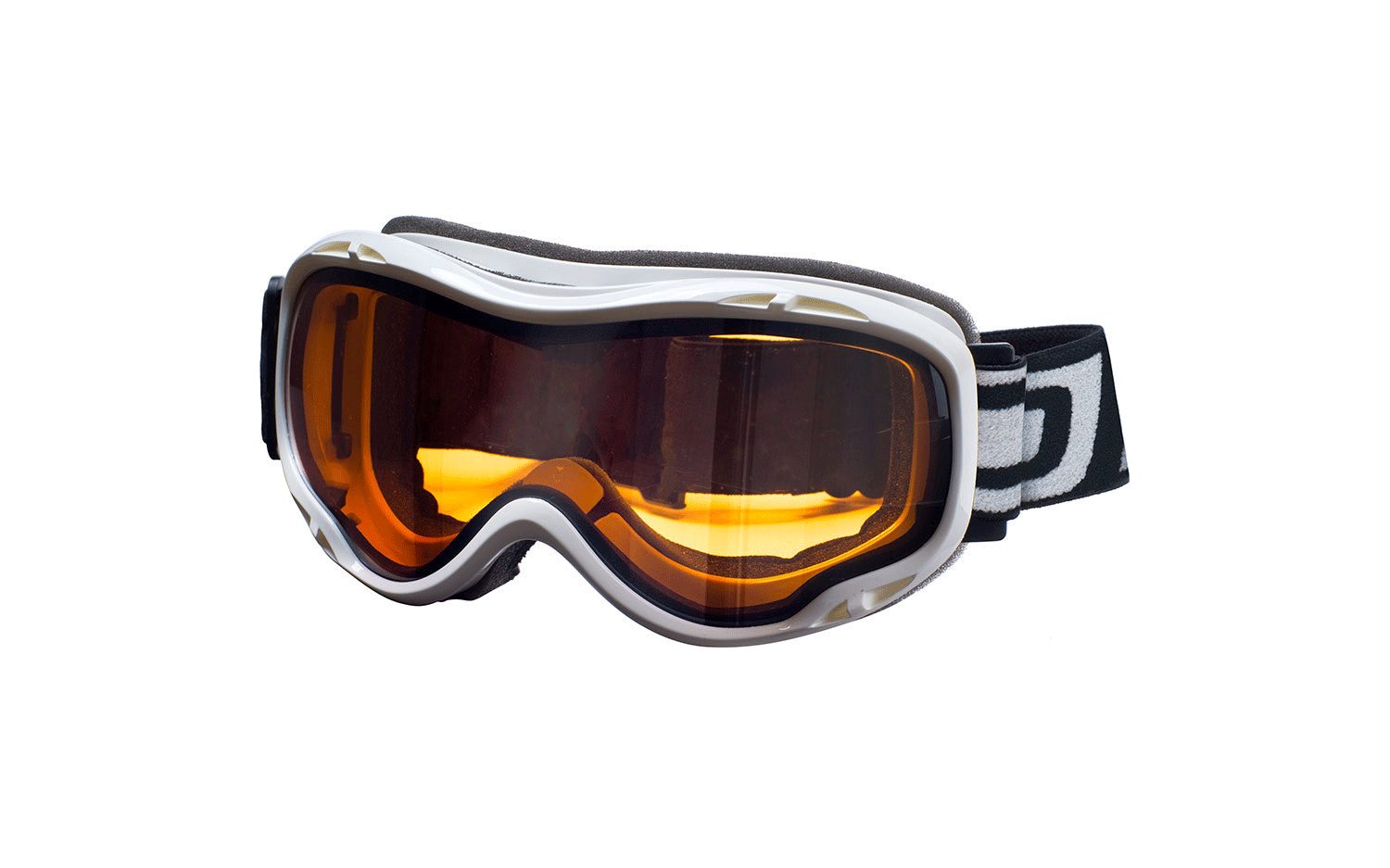 Dirty Dog Bug 54053 Goggles | Shade Station