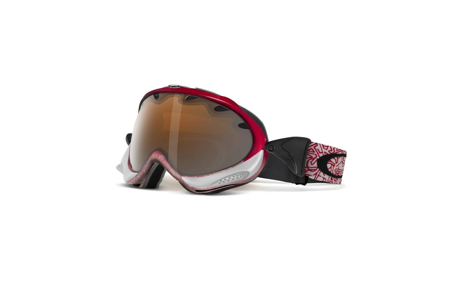 Oakley Wisdom 02-820 Goggles | Shade Station