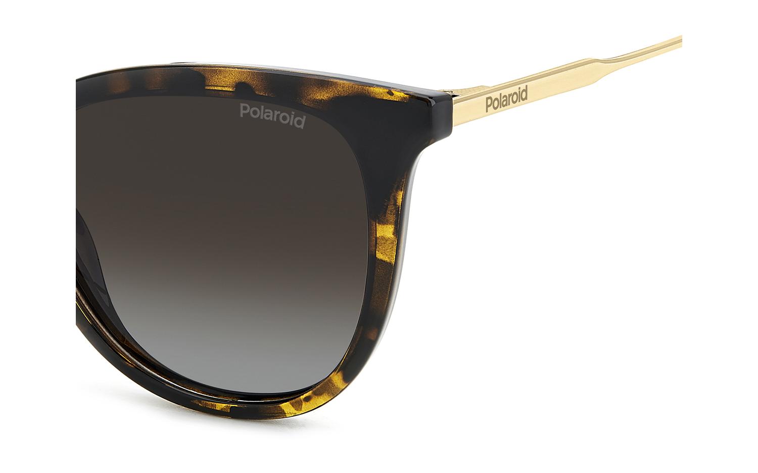 Polaroid PLD 4184/S/X 086 LA 53 Sunglasses | Shade Station