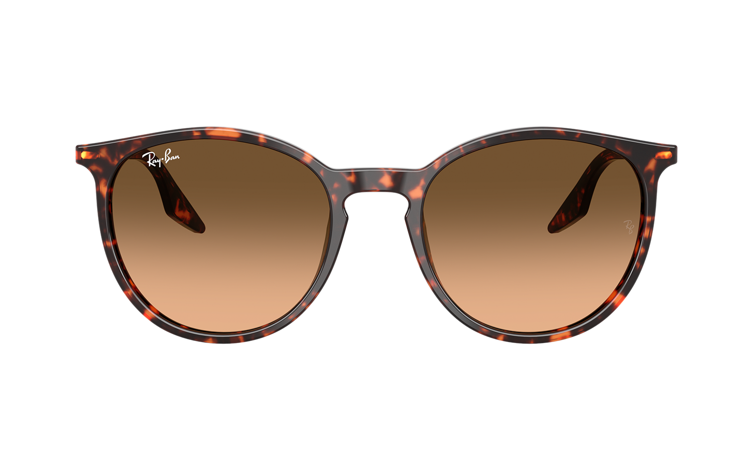 Ray-Ban RB2204 14293B 51 Sunglasses | Shade Station