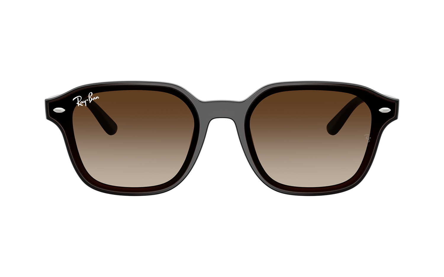 Ray-Ban RB4458D 714/13 65 Sunglasses | Shade Station