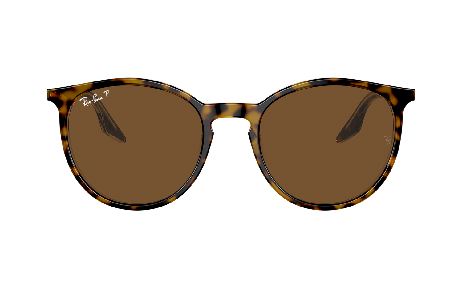 Ray-Ban RB2204 139357 54 Sunglasses | Shade Station