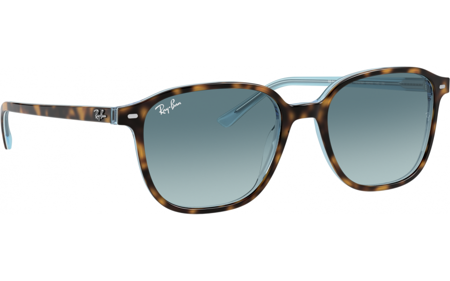Ray-Ban Leonard RB2193 13163M 51 Sunglasses | Shade Station