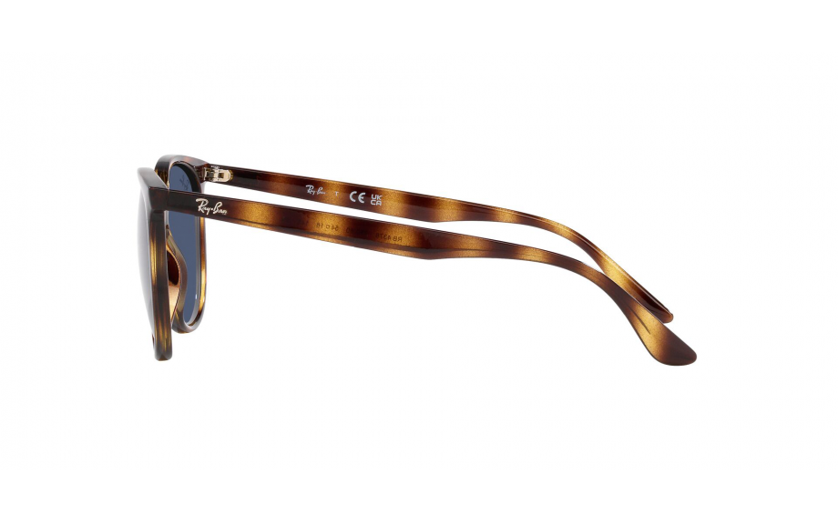 Ray-Ban RB4378 710/80 54 Sunglasses | Shade Station