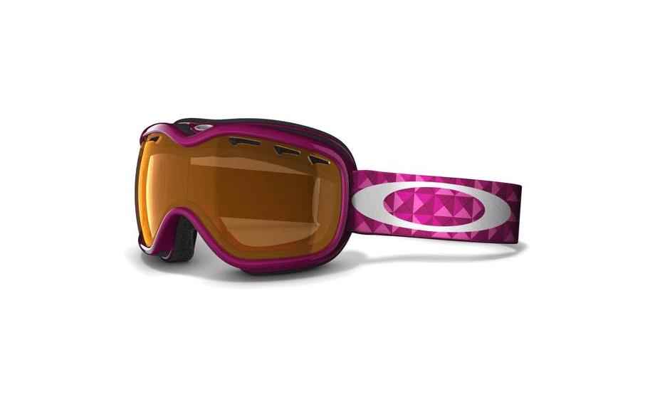 Oakley Stockholm 57-580 Goggles | Shade Station