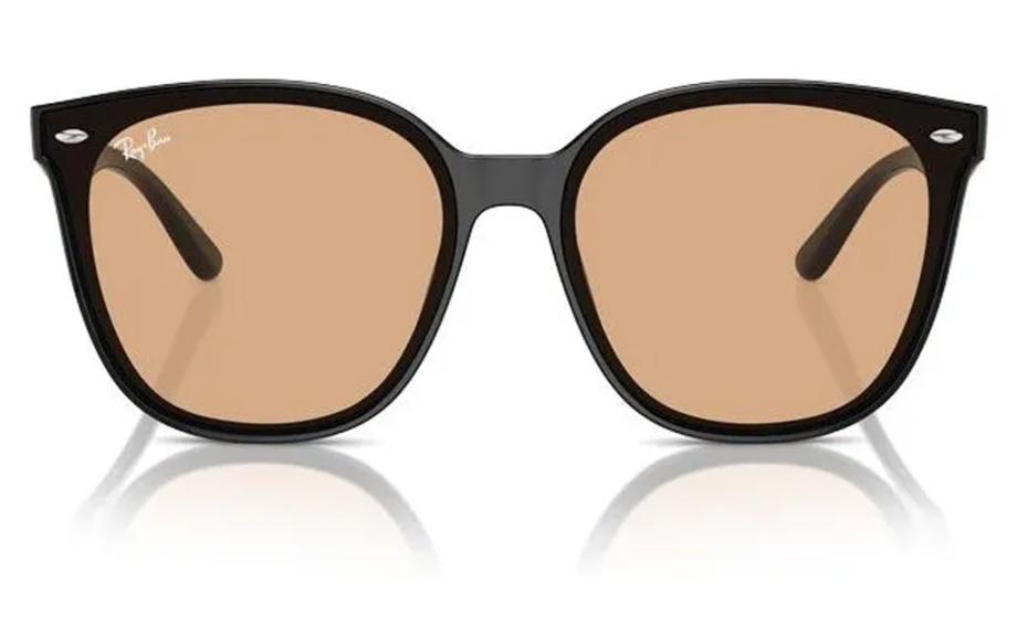 Ray-Ban RB4423D 601/93 66 Sunglasses | Shade Station