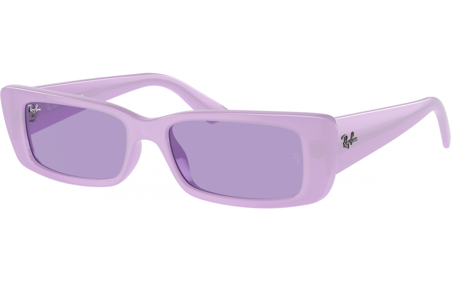 Ray-Ban Teru RB4425 67581A 54 Sunglasses | Shade Station