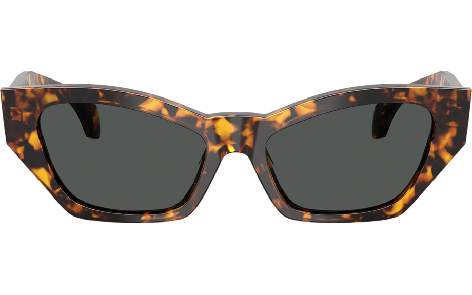 Versace VE4488U 551487 53 Sunglasses | Shade Station