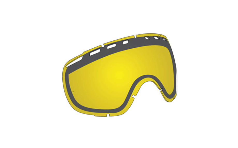Dragon D2 Replacement Lens 22799-501 Goggles | Shade Station