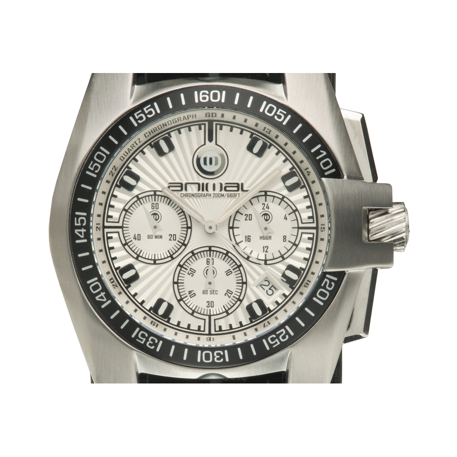 Animal Hurricane WWSY002-621 Watch | Shade Station