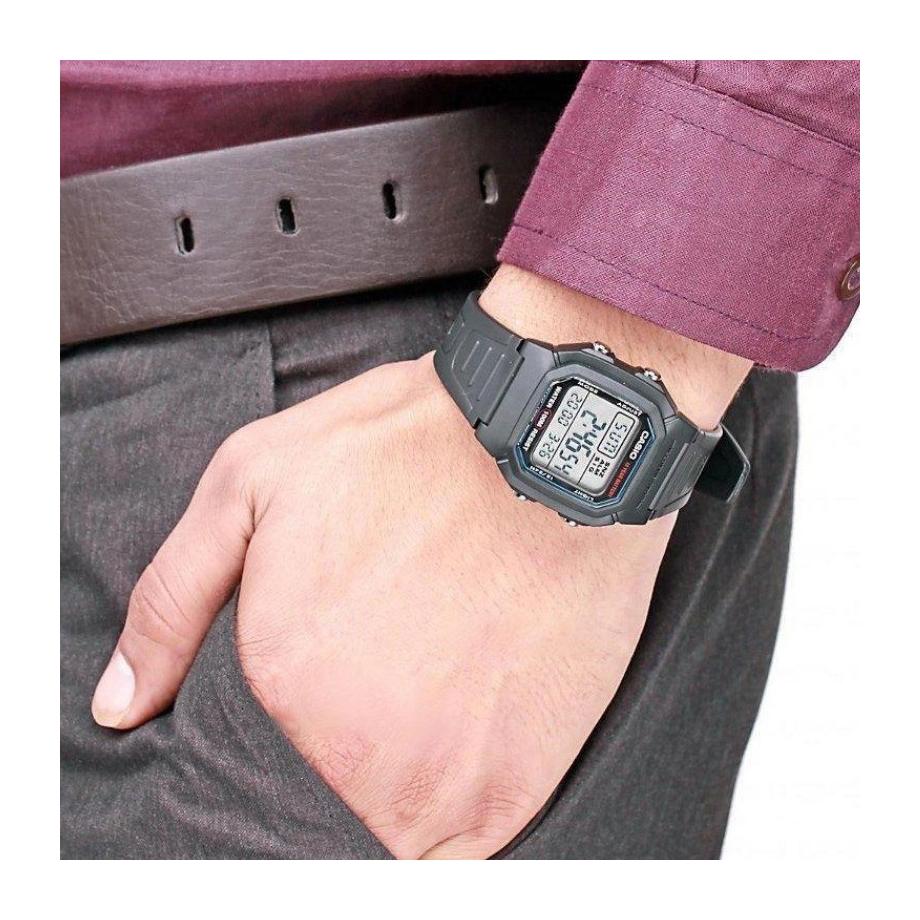 Casio W-800H-1AVES Watch | Shade Station