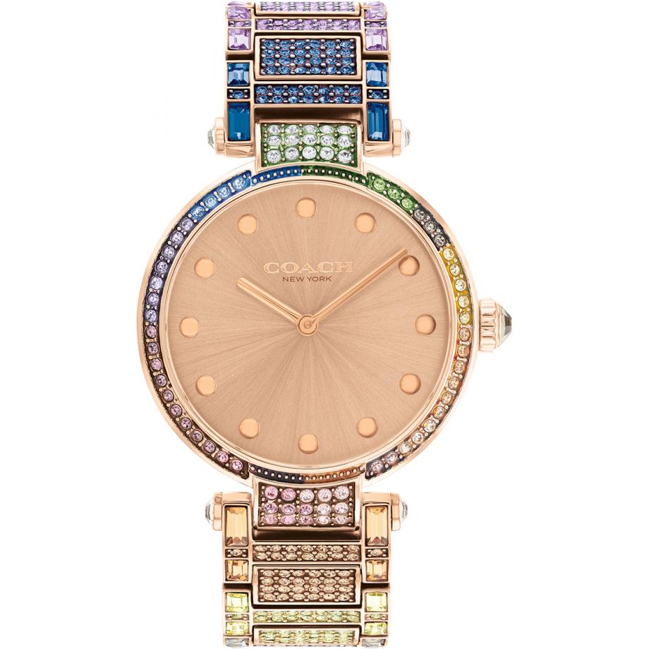 Coach Cary 14503994 Watch | Shade Station