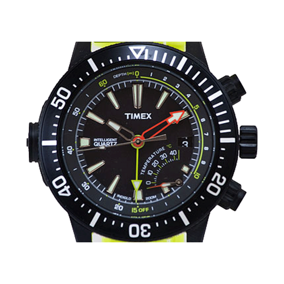 Timex T2N958 Watch | Shade Station